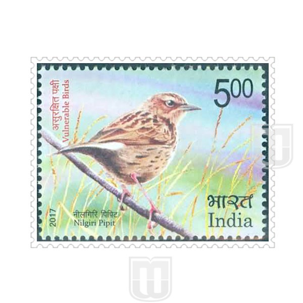 Vulnerable Birds - Nilgiri Pipit | 18-Sep-2017 | NA | Stamps | Mintage ...